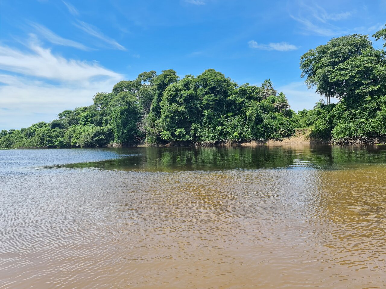 Imasul emite aviso de transbordamento do Rio Miranda - O Estado Online
